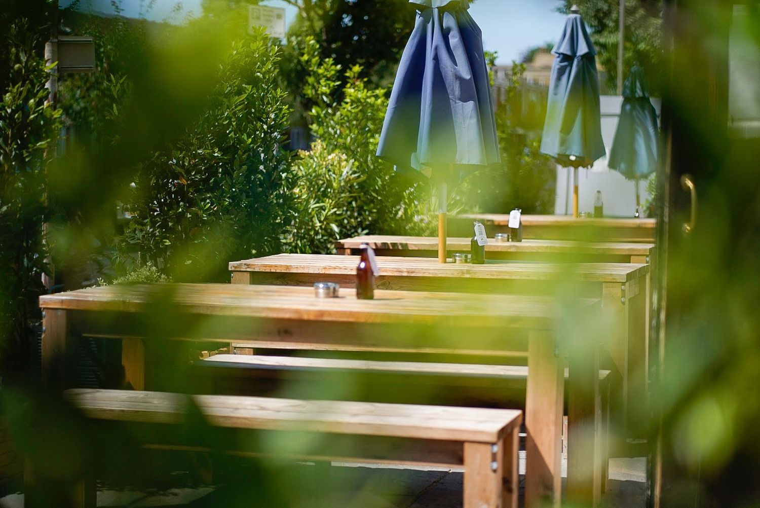 The Grove Balham | Pub | Balham | Young's Pubs